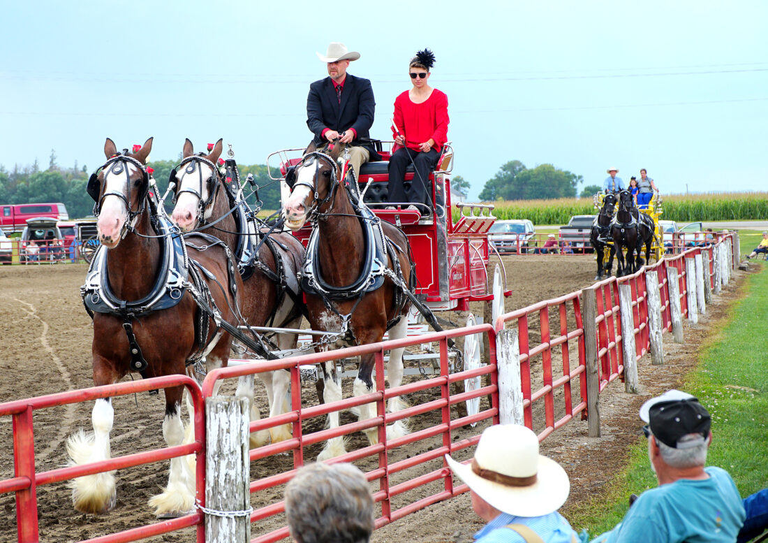 Labor of love | News, Sports, Jobs - Farm News